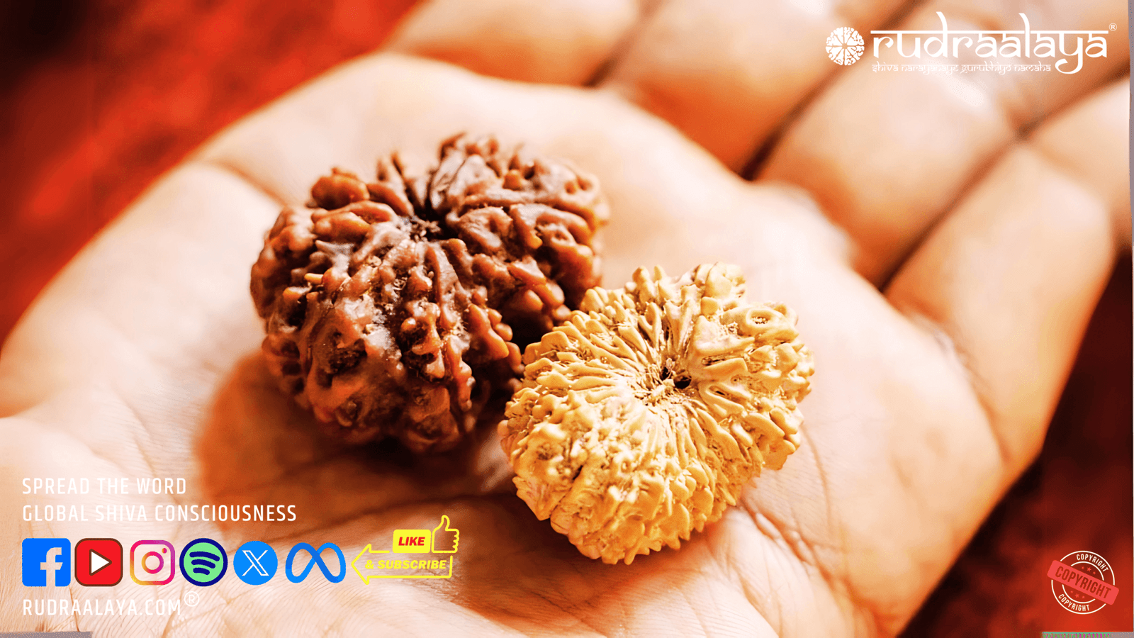Types of Nepali Rudraksha: Understanding the Different Mukhi Beads ...