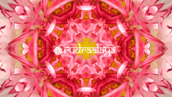 Tantra, Shaktism & Shaivism Explained - Rudraalaya